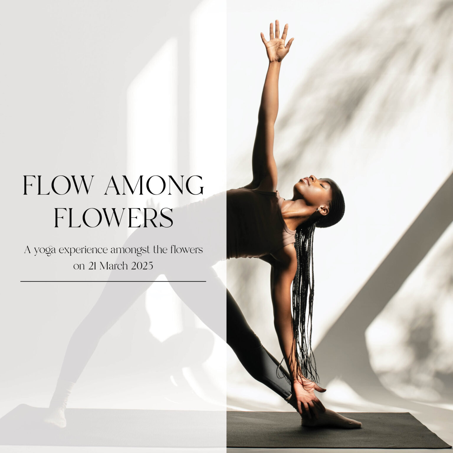 Ginger Roots Yoga Studio | Hatha & Vinyasa | Vaal Triangle